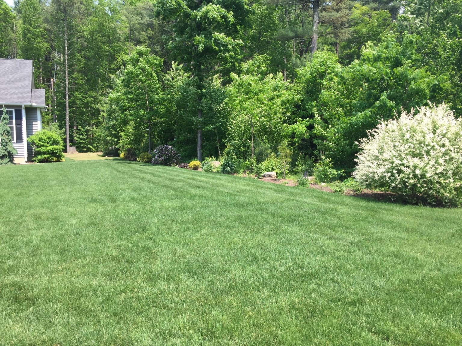 Gallery - NE Lawn Care - Western Massachusetts